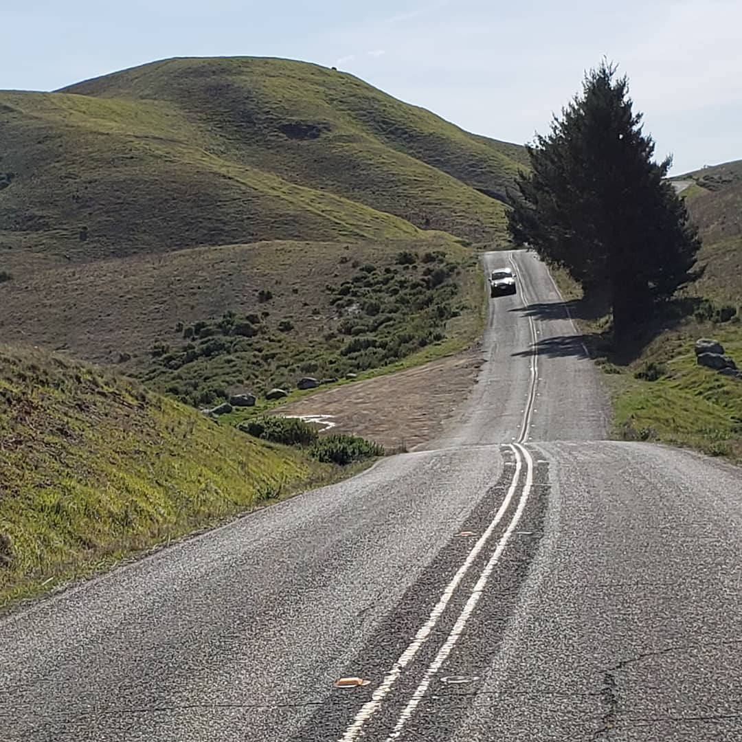 The famous winding road – Crystal Harling